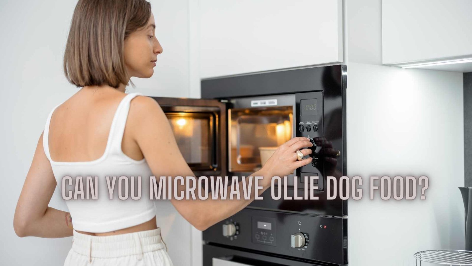 Can You Microwave Ollie Dog Food? - Ollie Dog Food USA