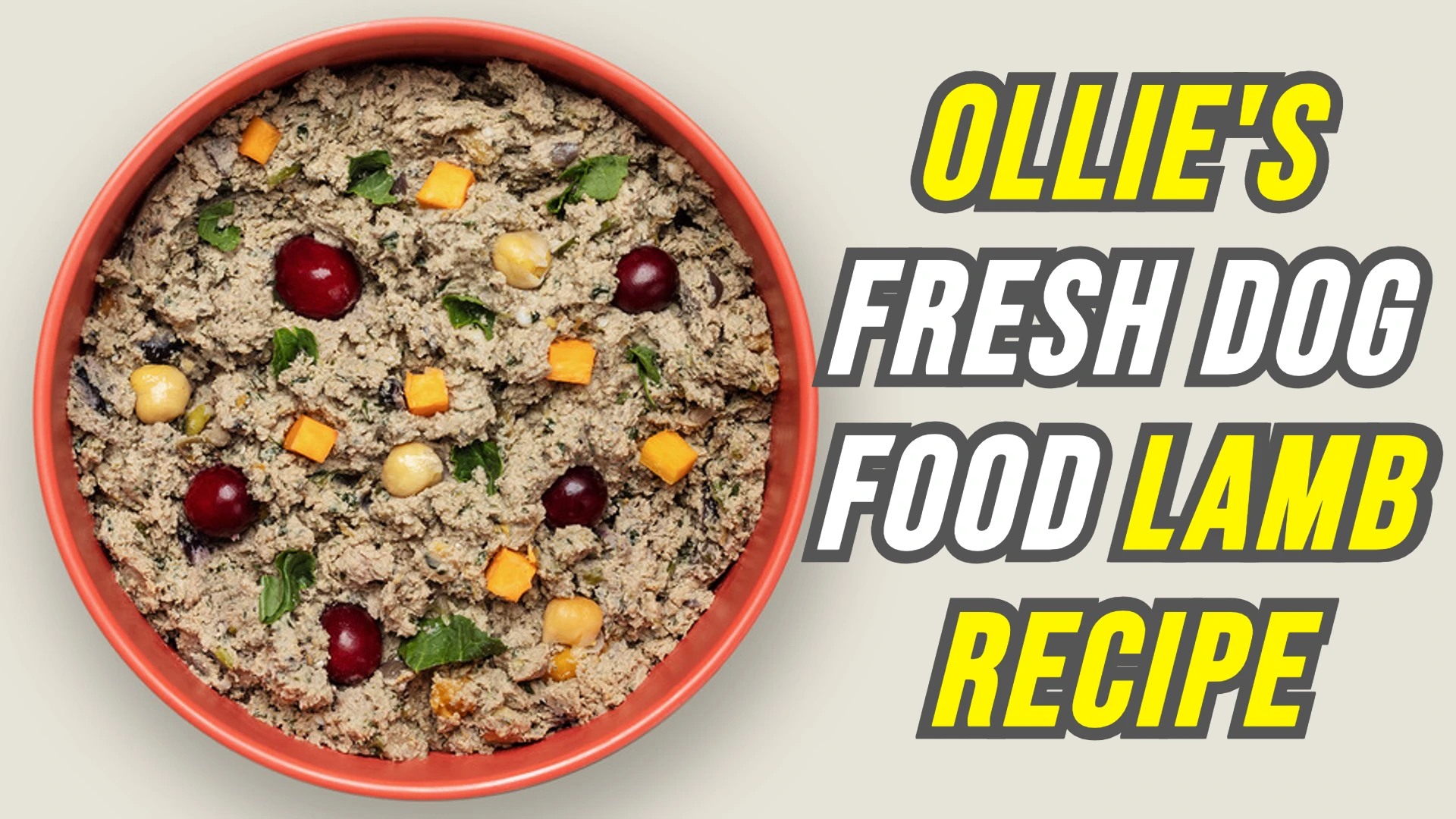 Ollie's Fresh Dog Food Lamb Recipe: Perfect for Picky Eaters