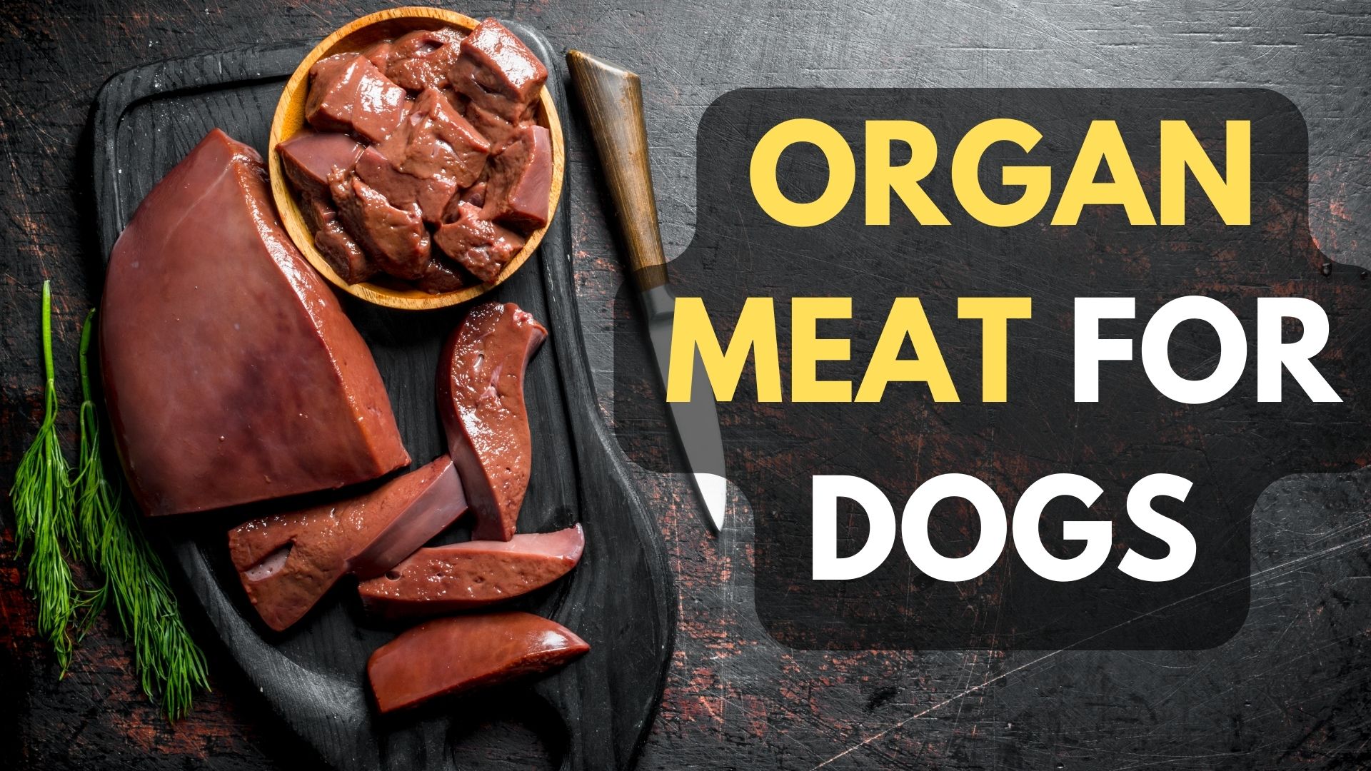 Organ Meat For Dogs: A Nutritional Guide For Pet Owners!