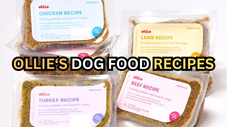 Ollie Dog Food Recipes: Benefits & Dietary Considerations!
