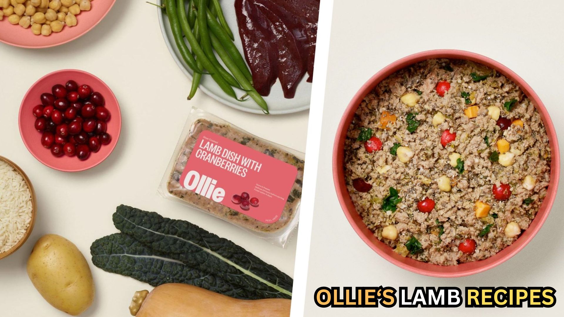 Ollie Dog Food Recipes: Benefits & Dietary Considerations!