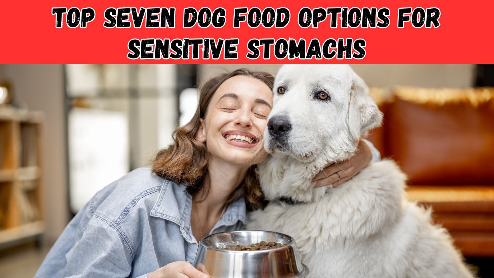 Top Seven Healthy Dog Food Options for Sensitive Stomachs